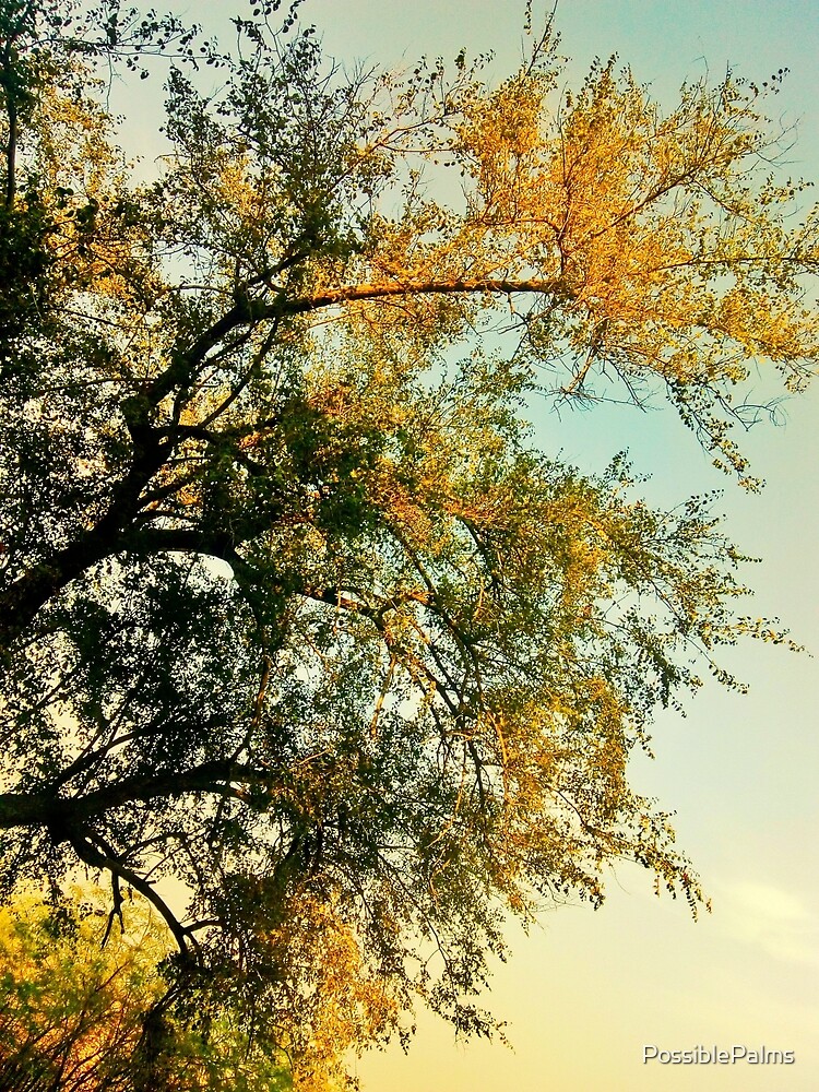 "Vintage lakeside trees // dark academia trees // The travelers ...