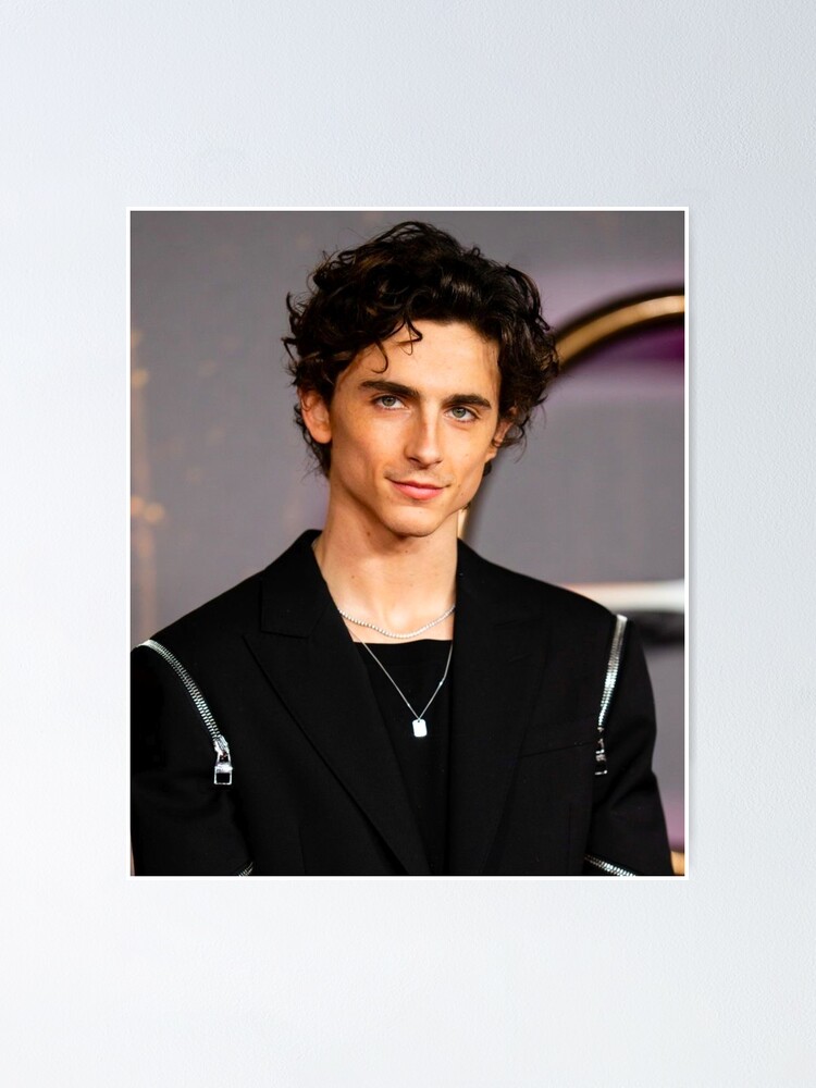 "Timothée Chalamet" Poster for Sale by Sanshop1 | Redbubble
