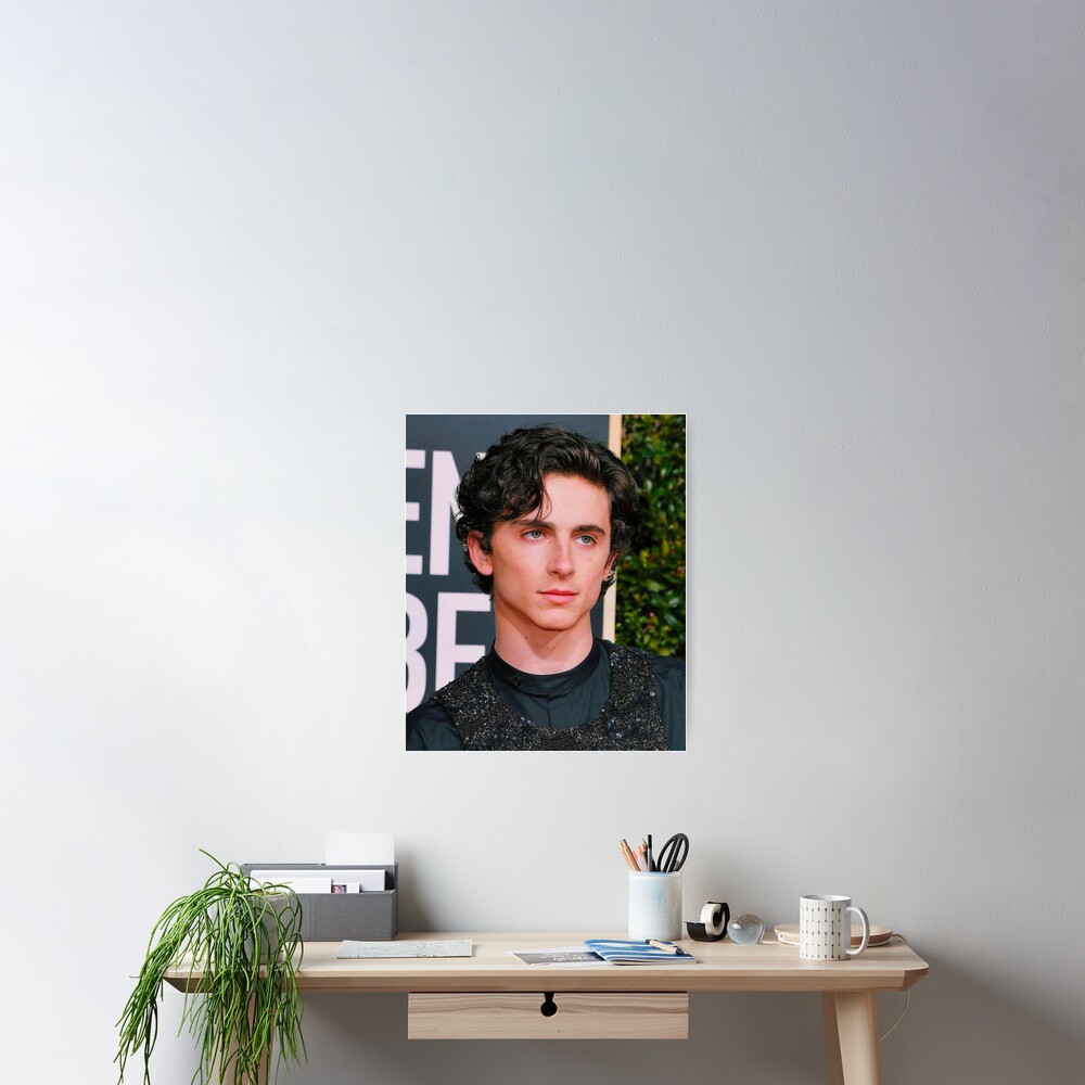 "Timothée Chalamet" Poster by Sanshop1 | Redbubble