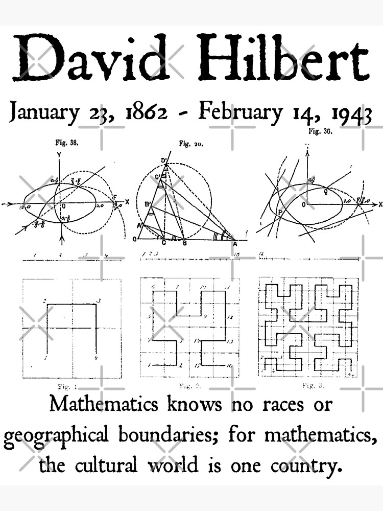 "David Hilbert Math Knows no Race or Boundaries Mathematics Quote ...