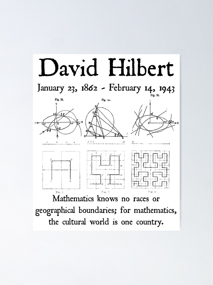 "David Hilbert Math Knows no Race or Boundaries Mathematics Quote ...