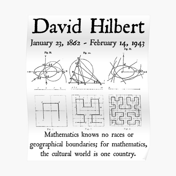 "David Hilbert Math Knows no Race or Boundaries Mathematics Quote ...