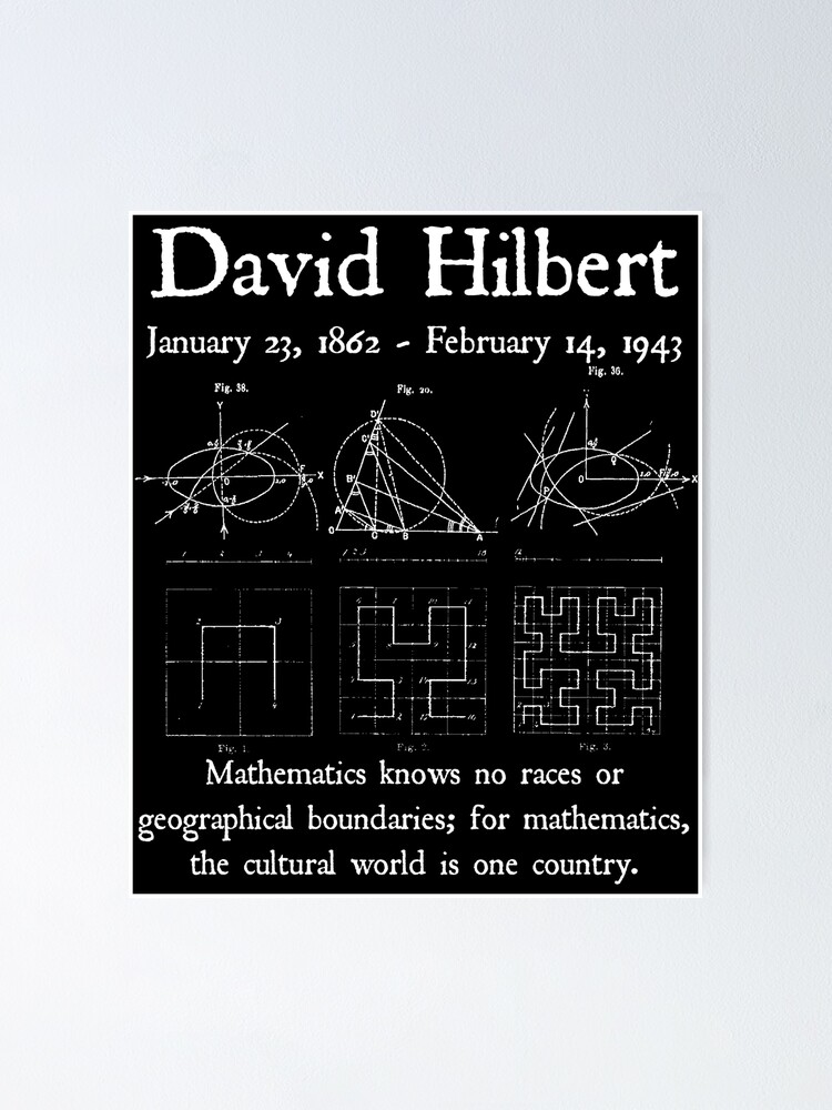 "David Hilbert Math Knows no Race or Boundaries Mathematics Quote ...