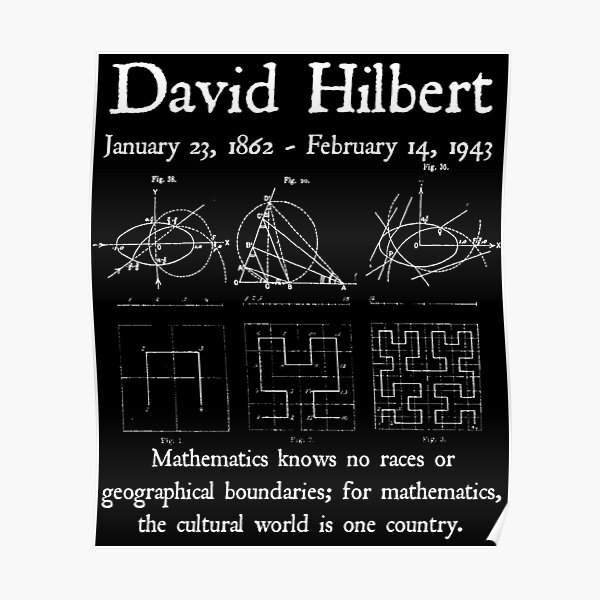 "David Hilbert Math Knows no Race or Boundaries Mathematics Quote ...
