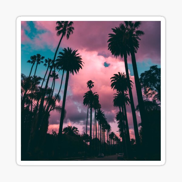 "Black and White Exotic Tropical Palm Trees" Sticker for Sale by CAT ...