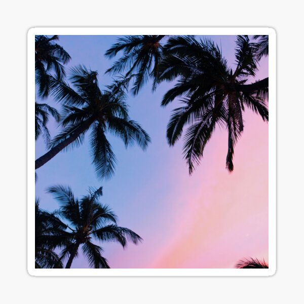 "Black and White Exotic Tropical Palm Trees" Sticker for Sale by CAT ...