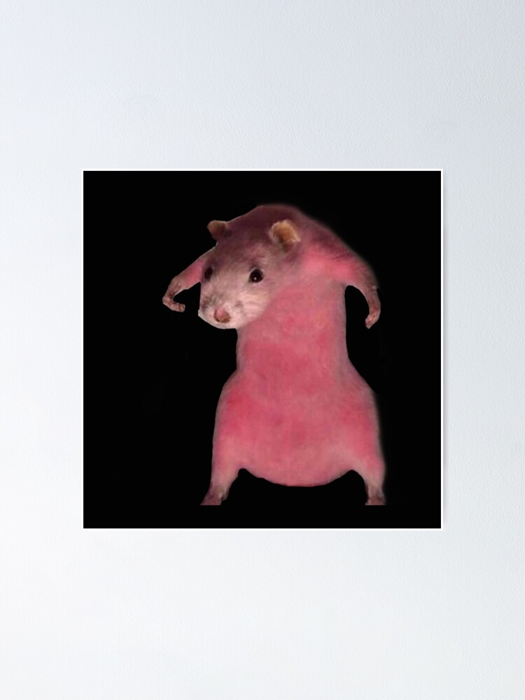 "Fake Funny Rats Meme For Smail" Poster by Zarck | Redbubble