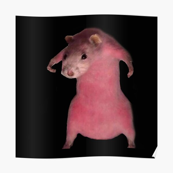 "Fake Funny Rats Meme For Smail" Poster by Zarck | Redbubble