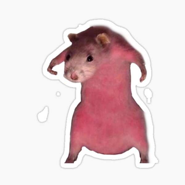 "Fake Funny Rats Meme For Smail" Sticker for Sale by Zarck | Redbubble