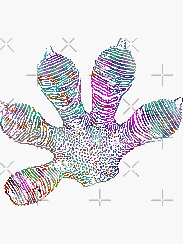 "Gecko paw" Sticker by Rosaliartbook | Redbubble