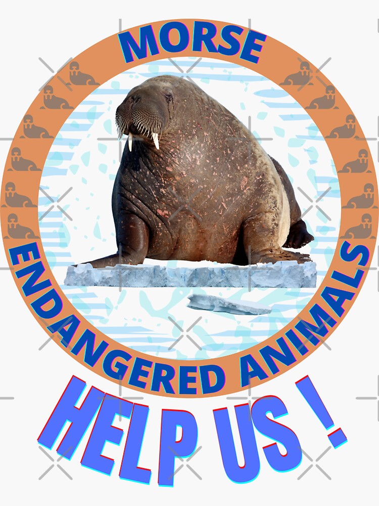 " Morse " Sticker for Sale by yassooarts | Redbubble