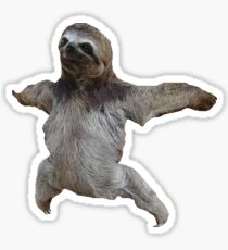 Sloth: Gifts & Merchandise | Redbubble