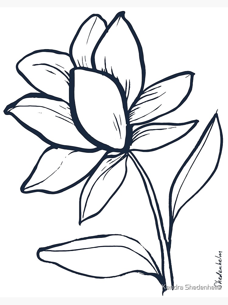 Single Flower Illustration