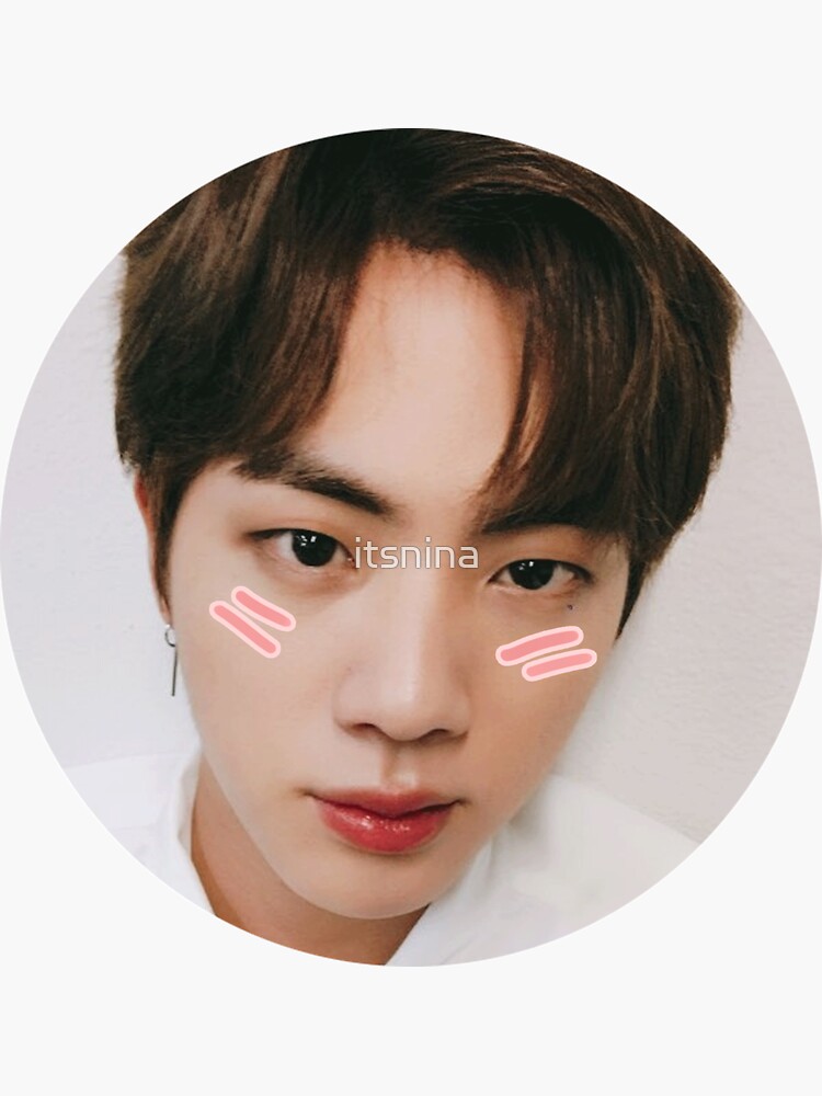 "Jin" Sticker for Sale by itsnina | Redbubble