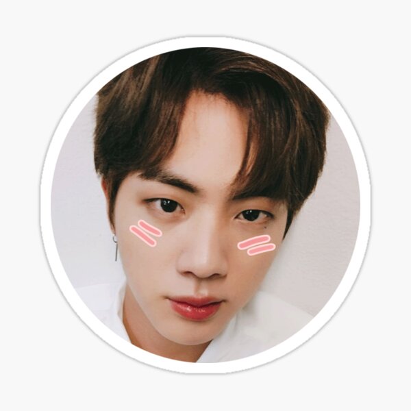 "Jin" Sticker for Sale by itsnina | Redbubble