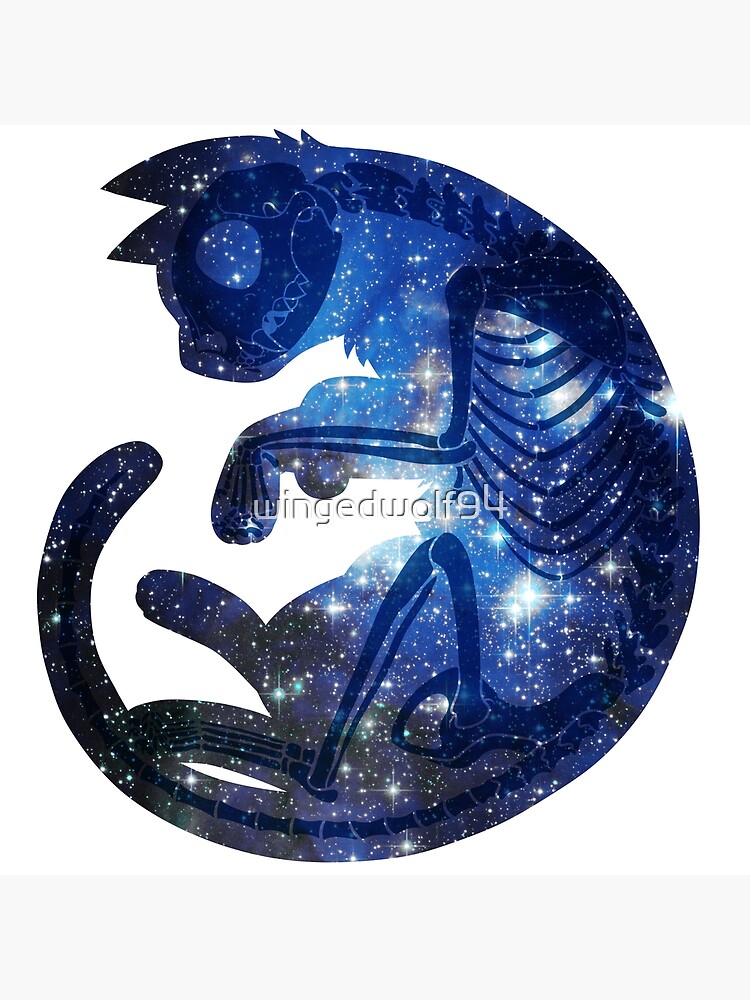 "Star Cat" Framed Art Print by wingedwolf94 | Redbubble