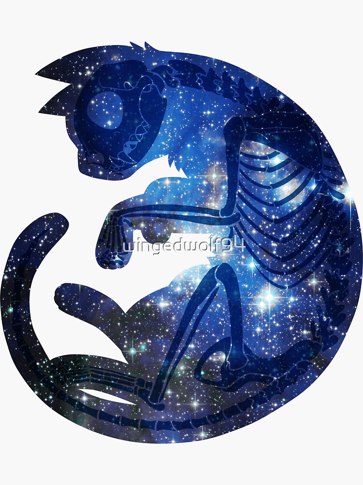 "Star Cat" Sticker for Sale by wingedwolf94 | Redbubble