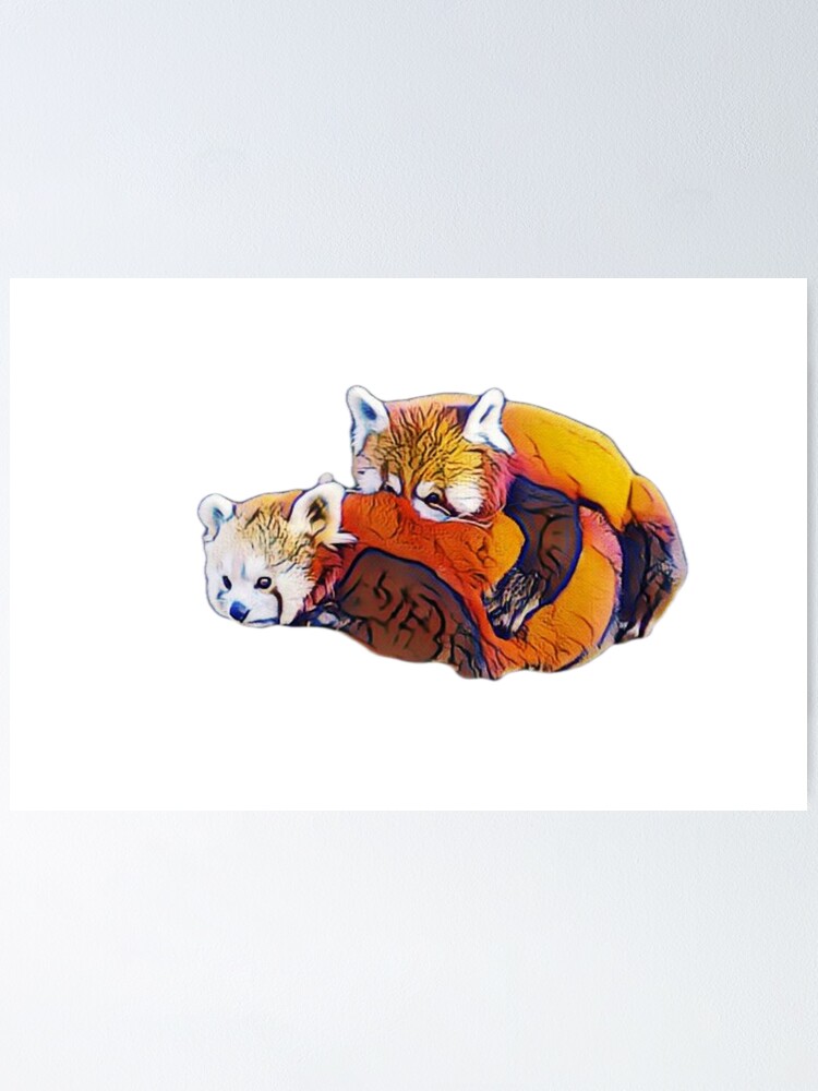 "Red Panda Cuddle " Poster for Sale by CuteAnimals121 | Redbubble