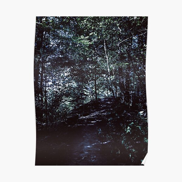 "grunge forest blue dazecore aesthetic vintage" Poster for Sale by ...