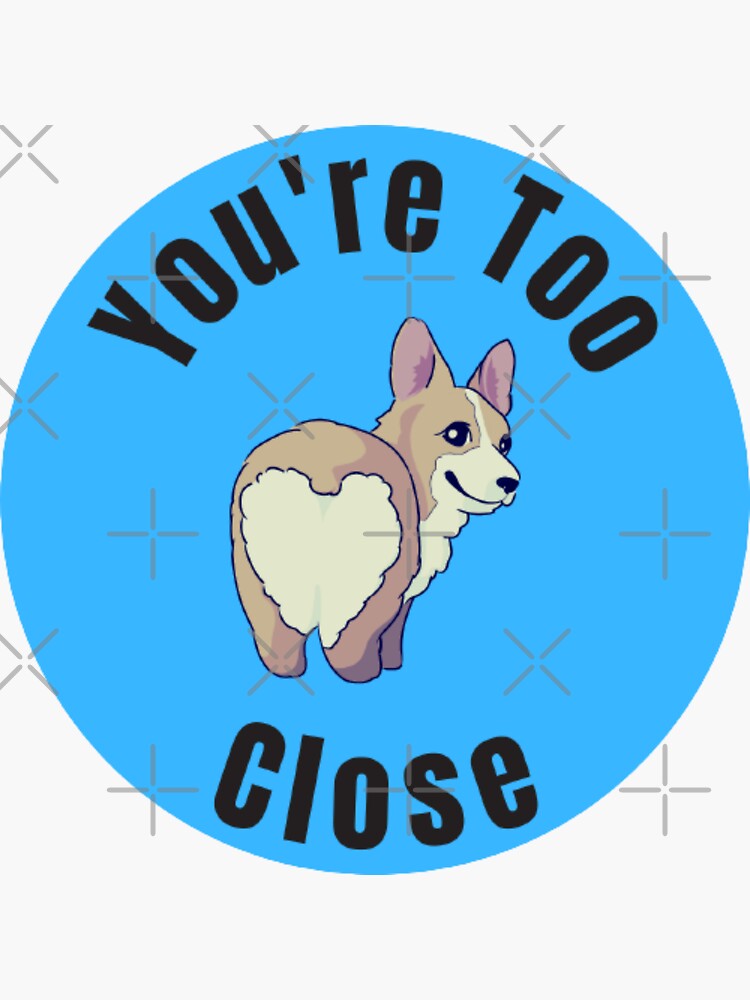 "You're Too Close Bumper Sticker" Sticker for Sale by LMoonDesigns ...