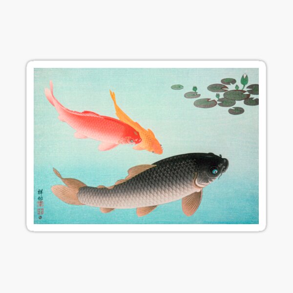 "Vintage Japanese Common and Golden Carp " Sticker by Kennydale | Redbubble