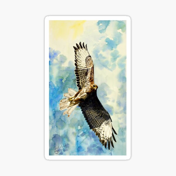 "Sarah's Buzzard" Sticker for Sale by threefishes | Redbubble