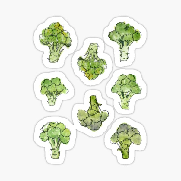 "Broccoli - Scattered" Sticker by crumpsticks | Redbubble