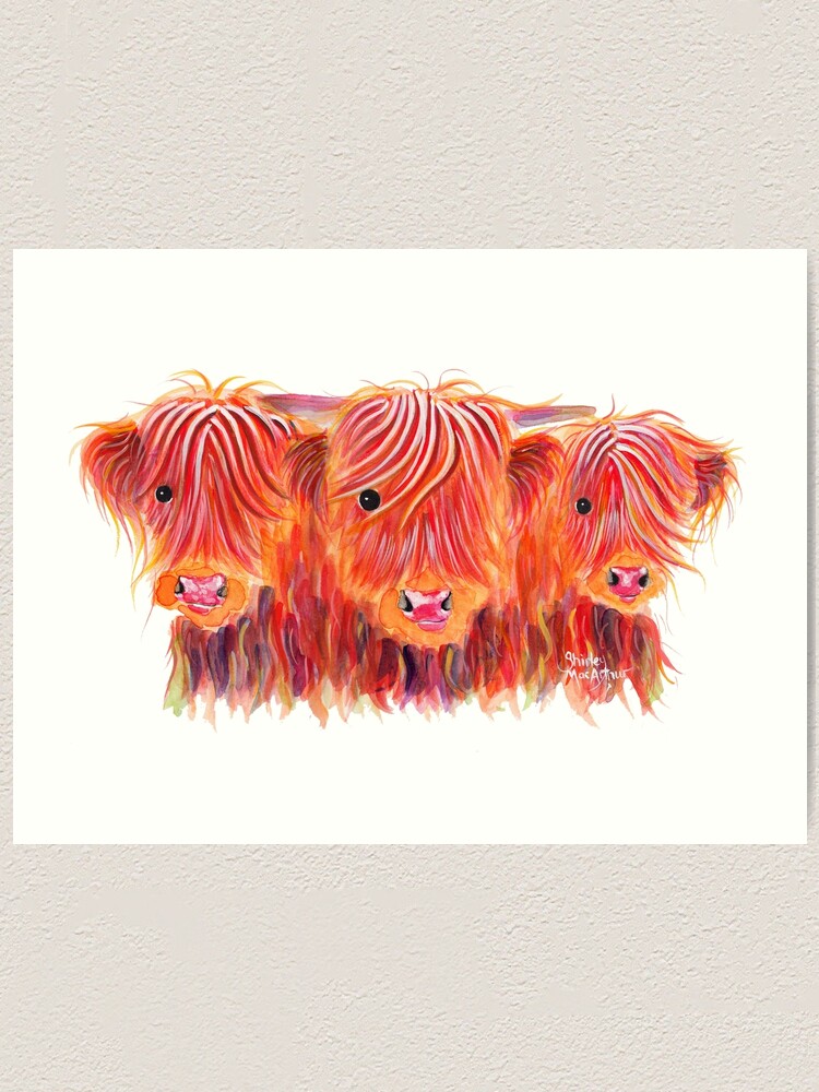 "Scottish Highland Hairy Cows 'THE BOYS' by Shirley MacArthur" Art ...