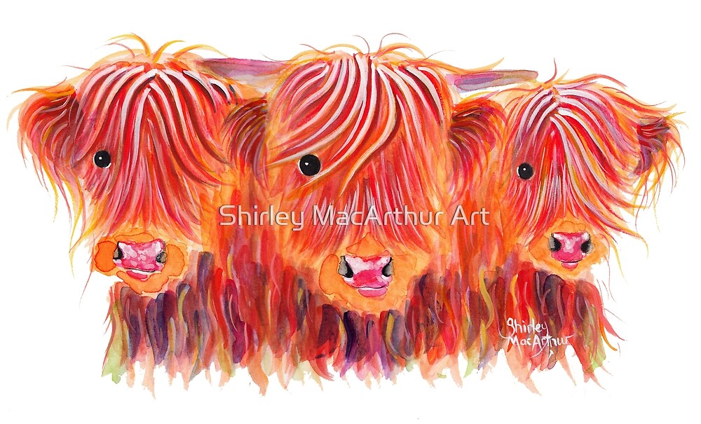 "Scottish Highland Hairy Cows 'THE BOYS' by Shirley MacArthur" by ...