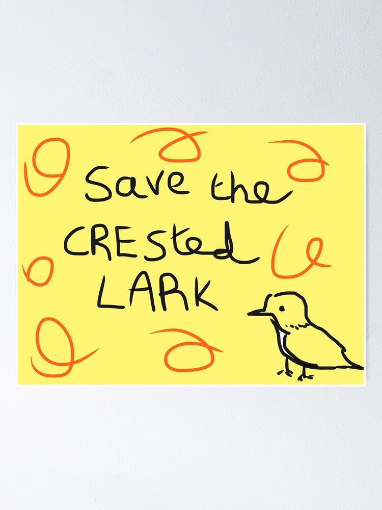 "Save the crested lark " Poster for Sale by ArtistRebeccaLS | Redbubble