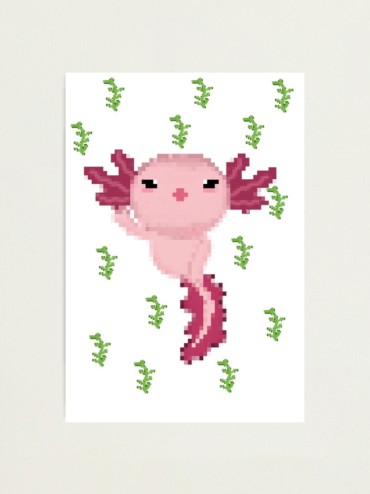 "axolotl pixel art" Photographic Print for Sale by ayuxi | Redbubble