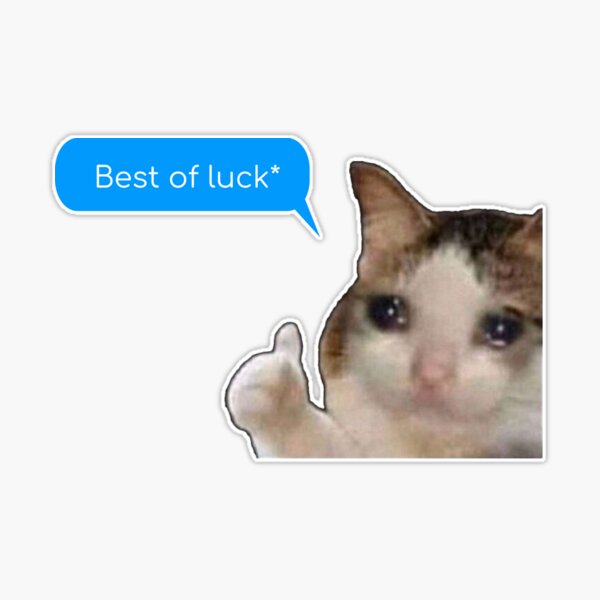 Good Luck Kitty Memes