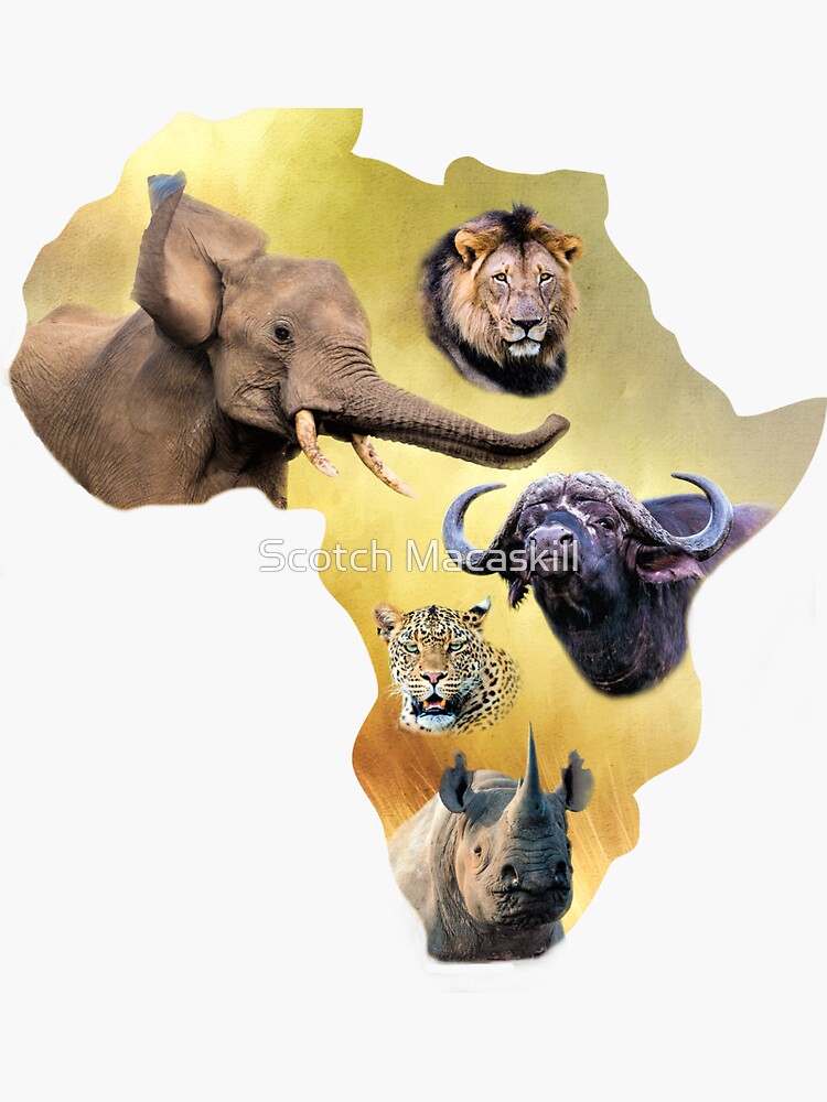 "Africa's Big Five Animals | African Wildlife" Sticker for Sale by ...