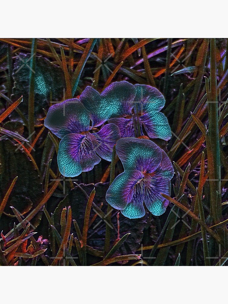 "Wild Violets in Nightshade Blue and Purple" Poster for Sale by ...