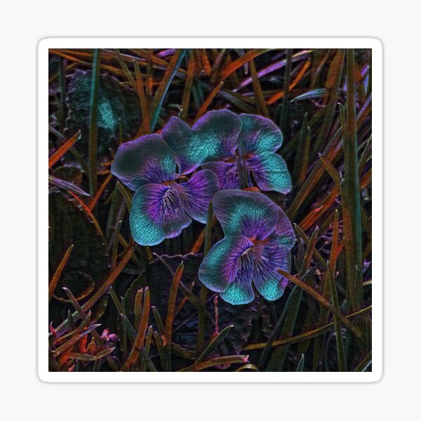 "Wild Violets in Nightshade Blue and Purple" Sticker by SunshineWalker ...