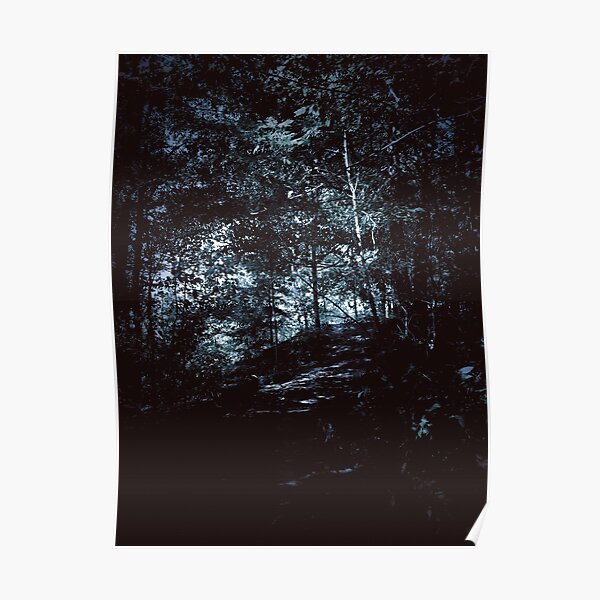 "grunge forest blue dazecore aesthetic vintage" Poster by sielexis ...