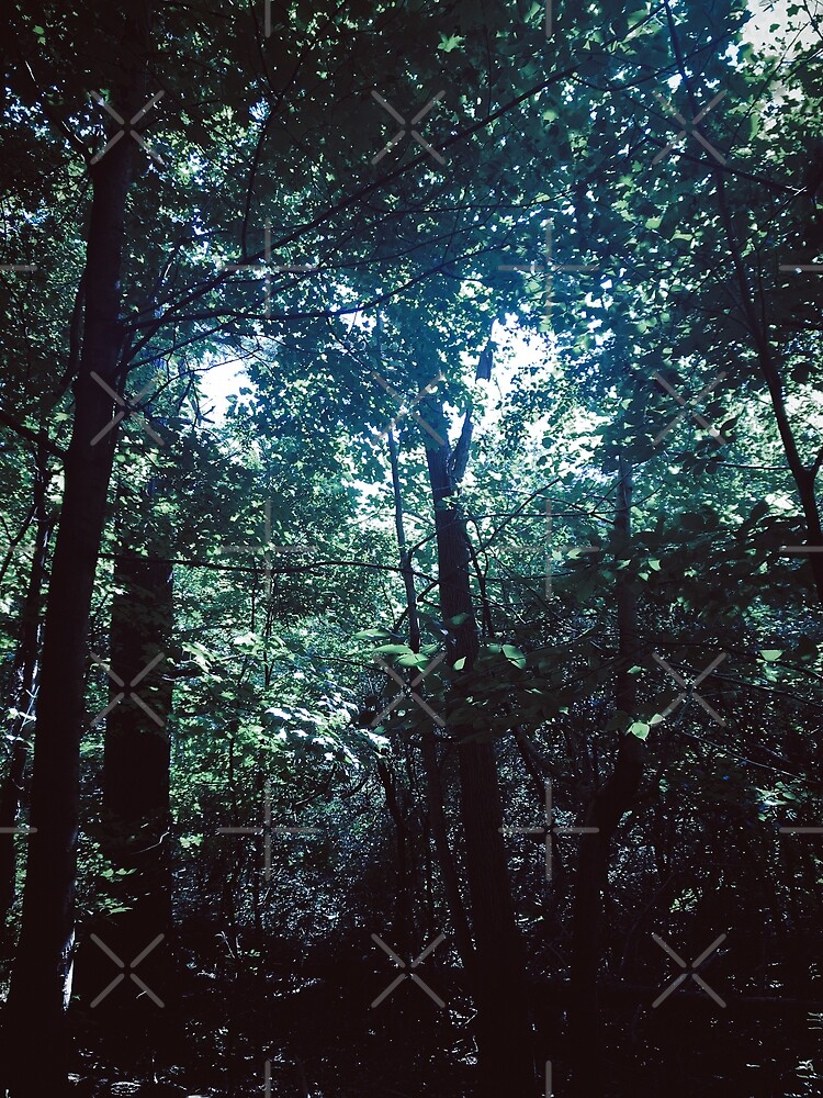 "grunge forest blue dazecore aesthetic vintage sun piercing through ...