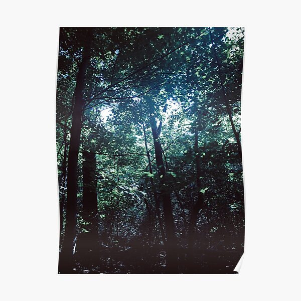 "grunge forest blue dazecore aesthetic vintage sun piercing through ...