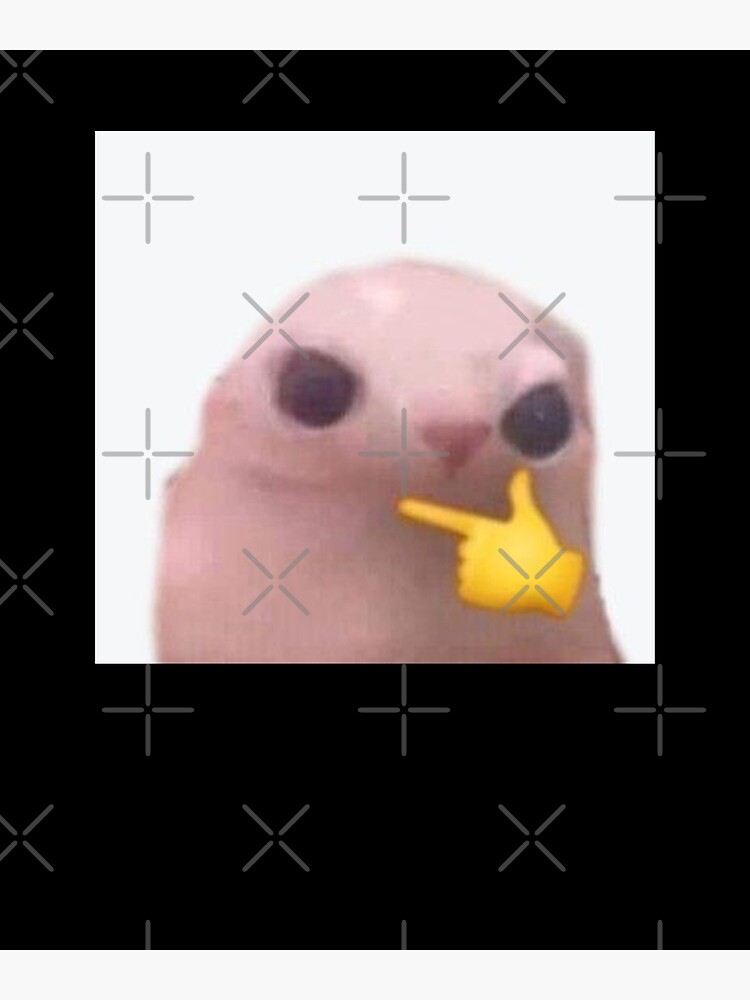 "bingus meme - bingus cat - bingus - bingus my beloved" Poster for Sale ...