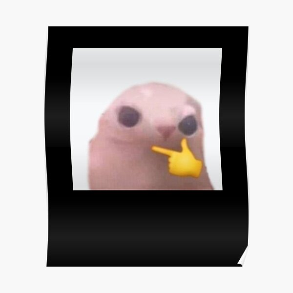 "bingus meme - bingus cat - bingus - bingus my beloved" Poster for Sale ...