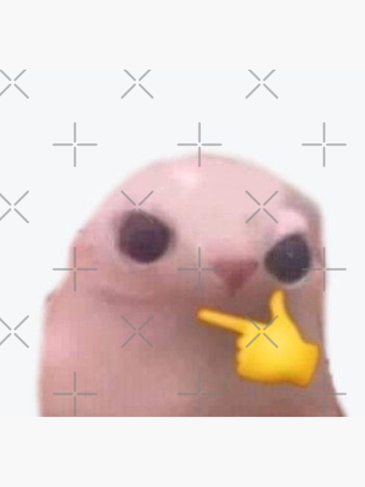 "bingus meme - bingus cat - bingus - bingus my beloved" Sticker for ...