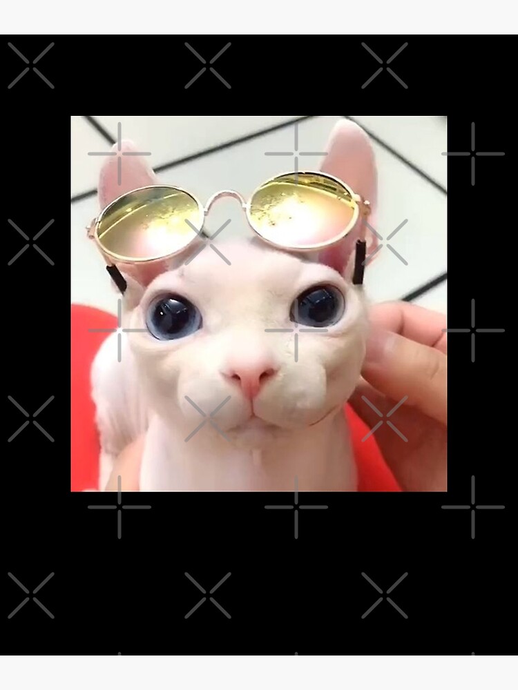 "bingus meme - bingus cat - bingus - bingus my beloved" Poster for Sale ...