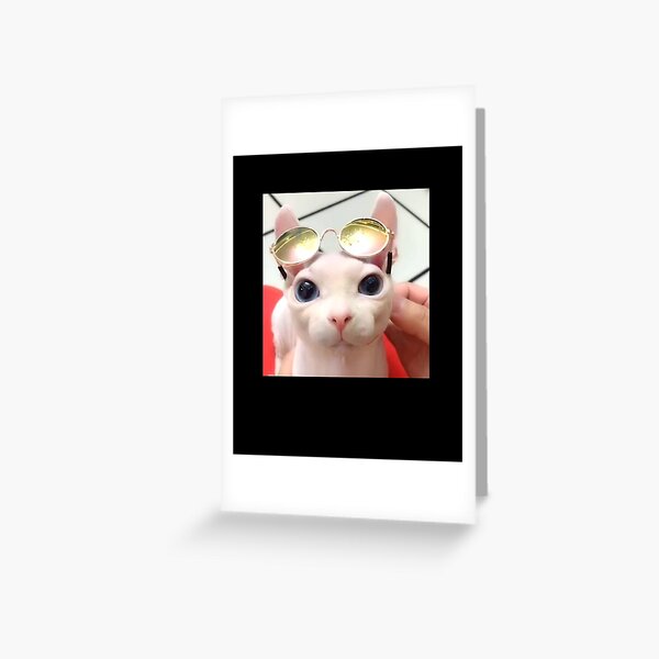 "bingus meme - bingus cat - bingus - bingus my beloved" Greeting Card ...