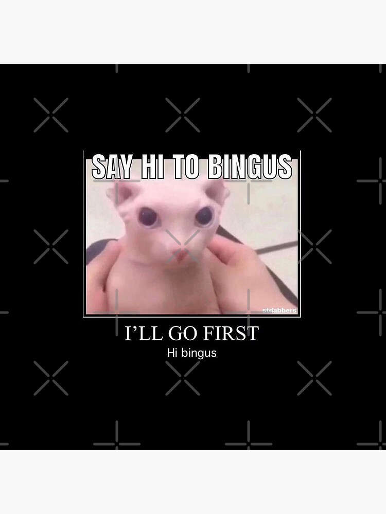 "bingus meme - bingus cat - bingus - bingus my beloved" Pin for Sale by ...