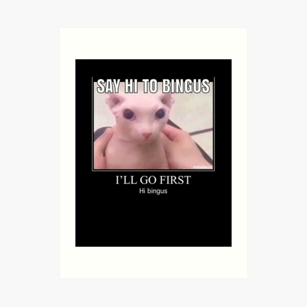 "bingus meme - bingus cat - bingus - bingus my beloved" Art Print for ...