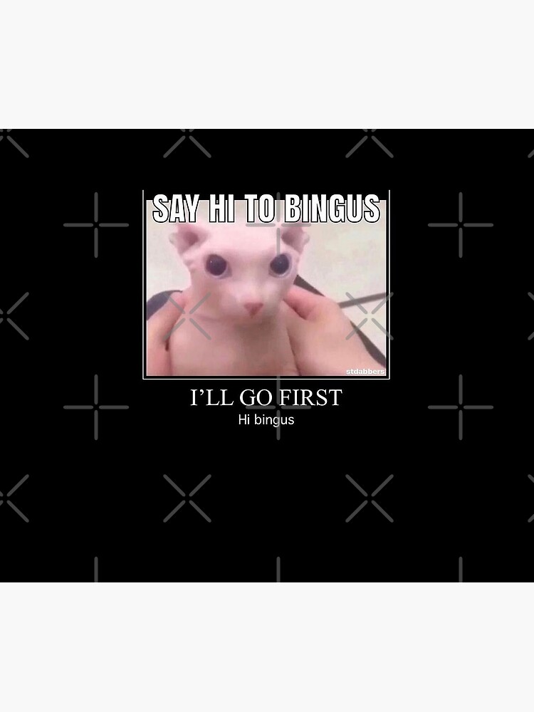 "bingus meme - bingus cat - bingus - bingus my beloved" Throw Blanket ...