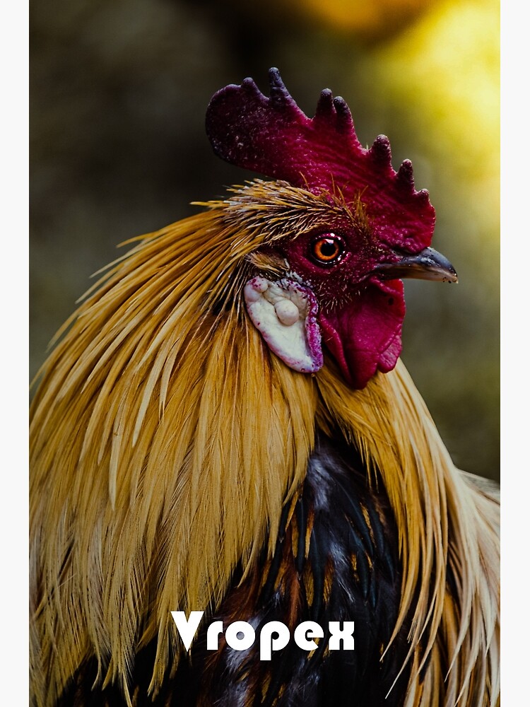 "Hen" Poster for Sale by VetroShop | Redbubble