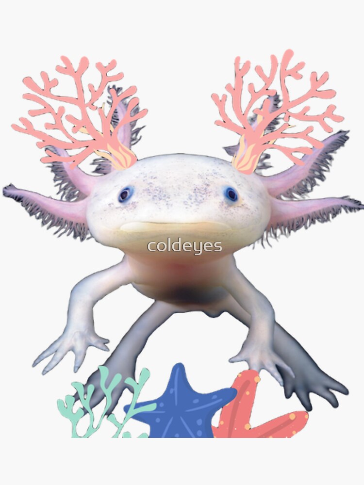 "Axie,Lotl,Water Dog,Mexican Walking Fish,Water " Sticker for Sale by ...
