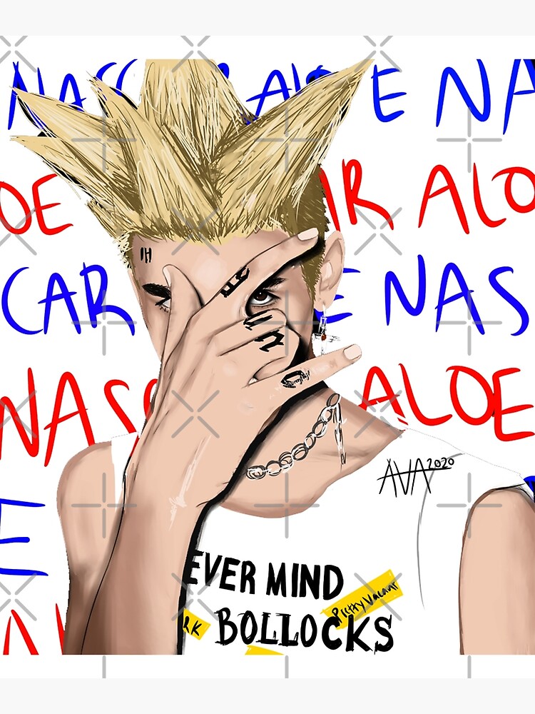 "nascar aloe" Poster for Sale by nonahorn | Redbubble