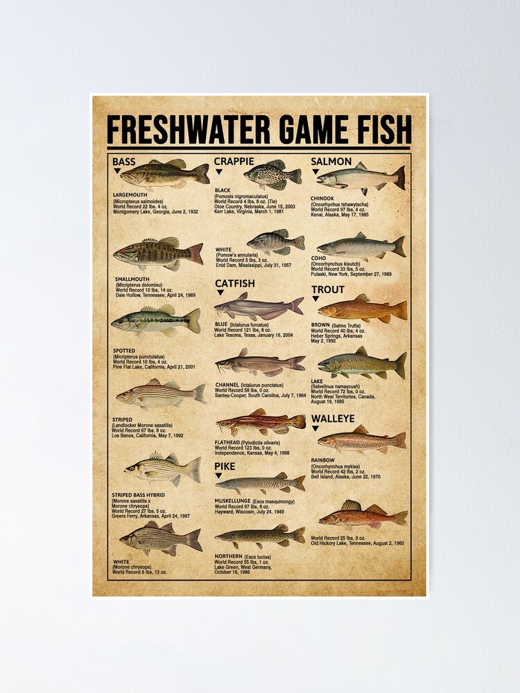 "Freshwater game fish" Poster by Mikeartshop | Redbubble